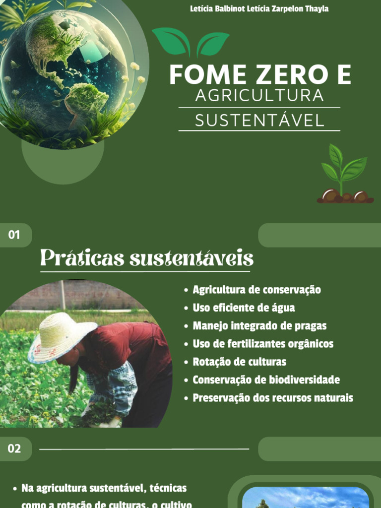 Fome Zero e Agricultura Sustentável | PDF