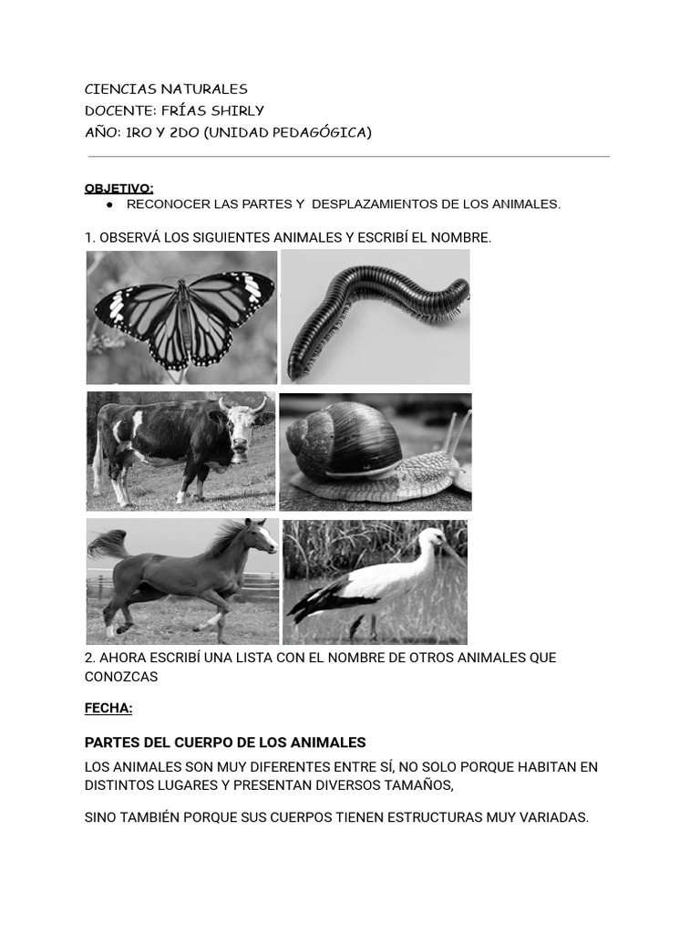 Ciencias Naturales P Anual y Recursos | PDF | Piel | Aves