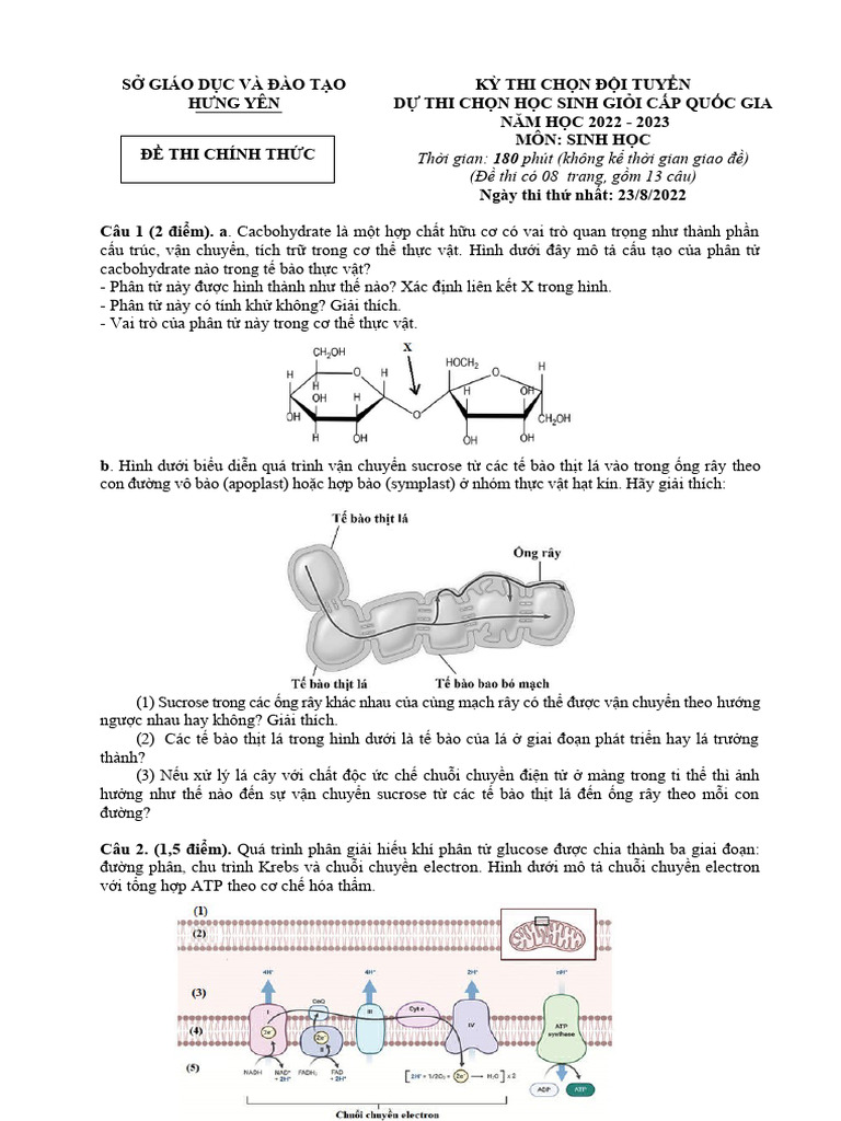 Đề thi chọn DT Sinh ngày 1 - CHY - 2022 | PDF
