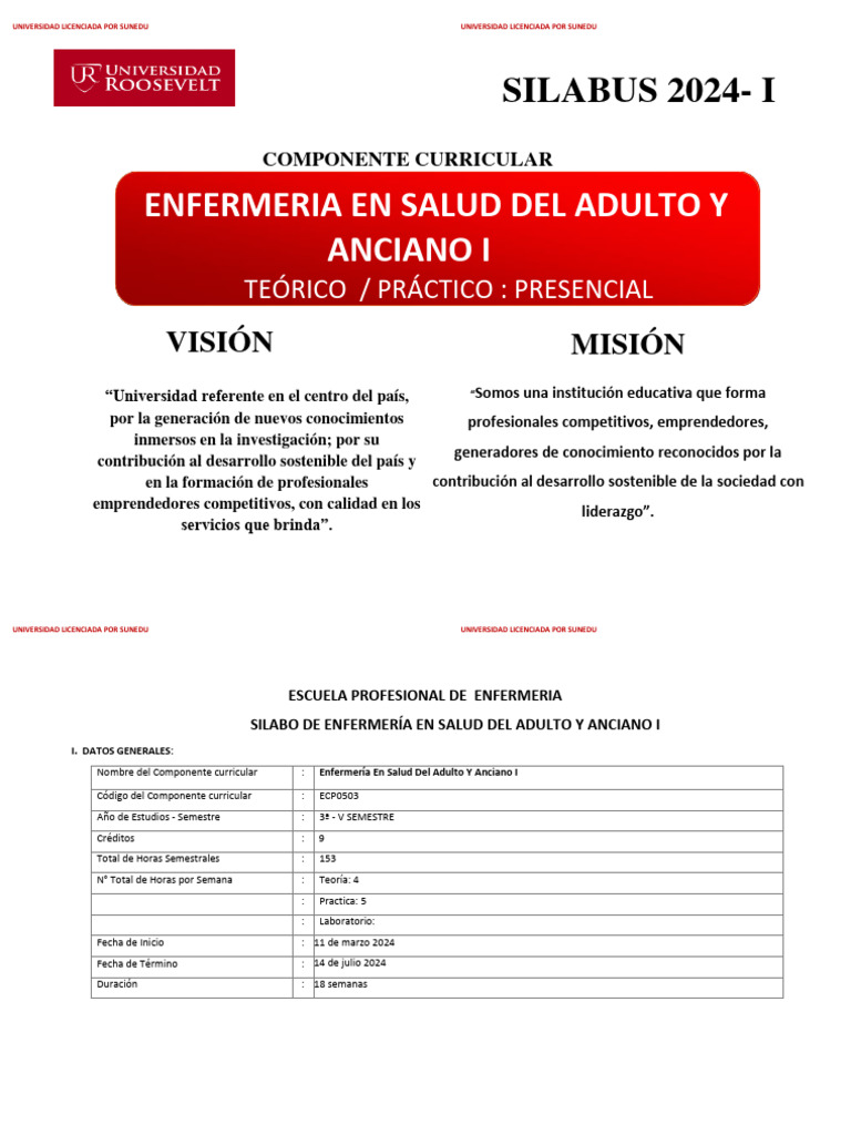 Sillabus Enf. Salud Del Adulto y Anciano I 2024-I | PDF | Evaluación | Enfermería
