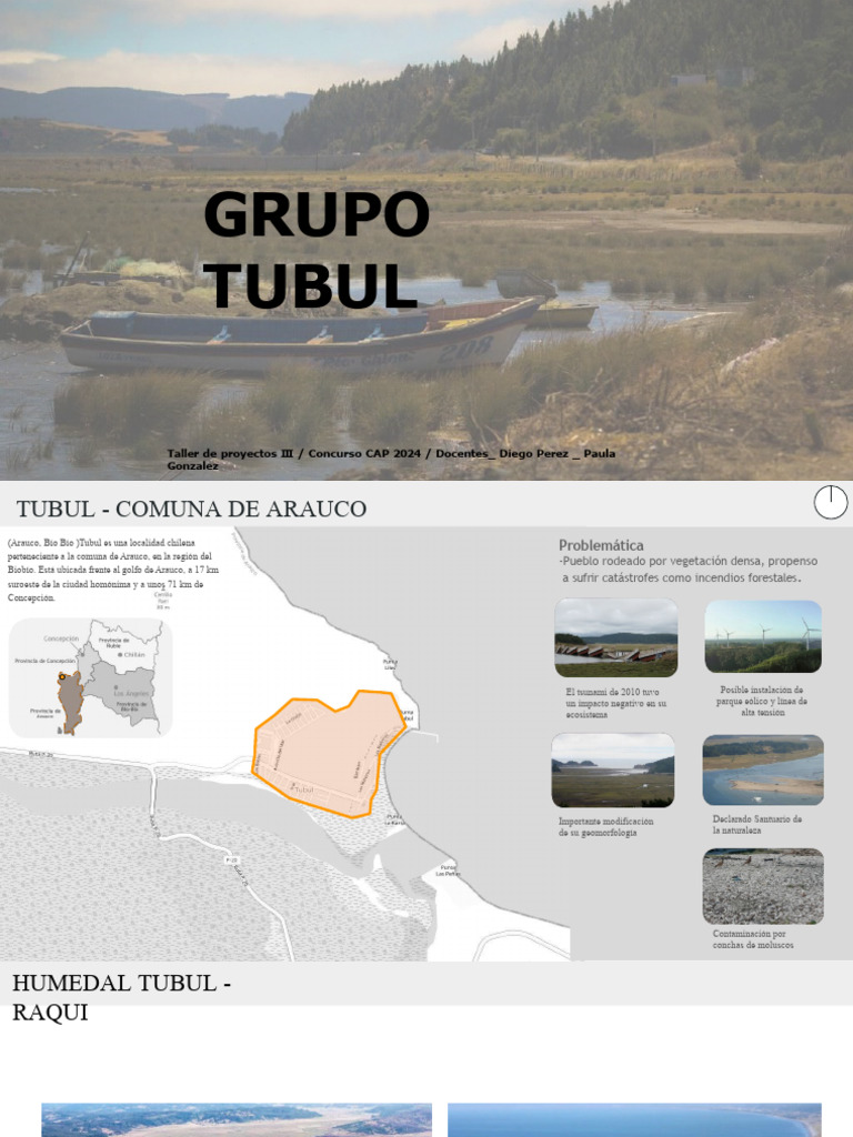 Importancia del Humedal Tubul Raqui | PDF | Clima templado | Clima
