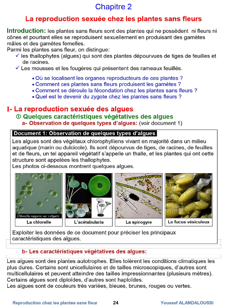 Cours TC SC Unit2 2 | PDF