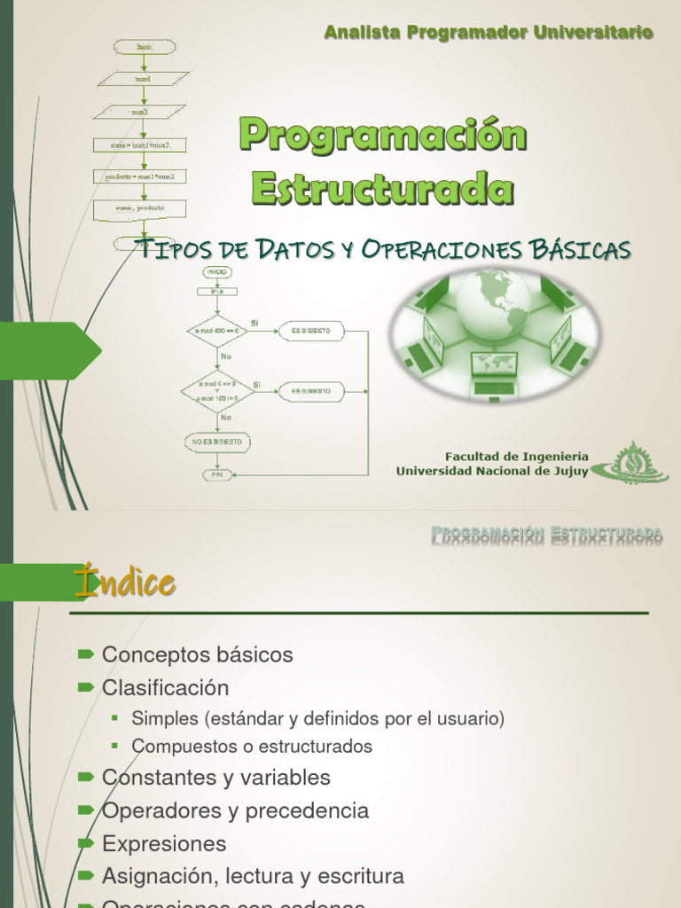 Programacion Estructurada - Unidad II Tipos de Datos Archivo | PDF | Tipo de datos | Programa de ...