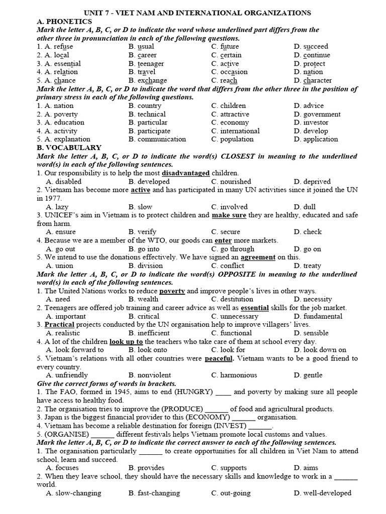 Unit 7 - Viet Nam and International Organizations | PDF | World Wide ...