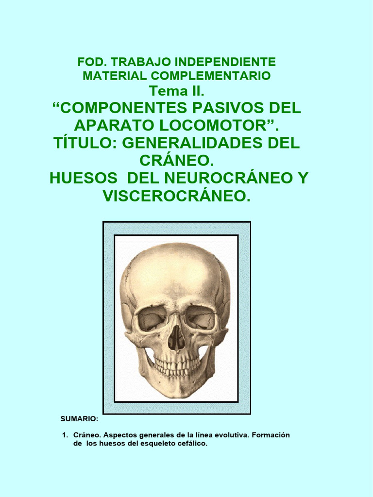 C3. Huesos Del Cràneo. Neuro y Viscerocràneo | PDF | Cráneo | Anatomía