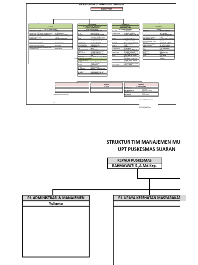Struktur Upt Puskesmas 2024 | PDF