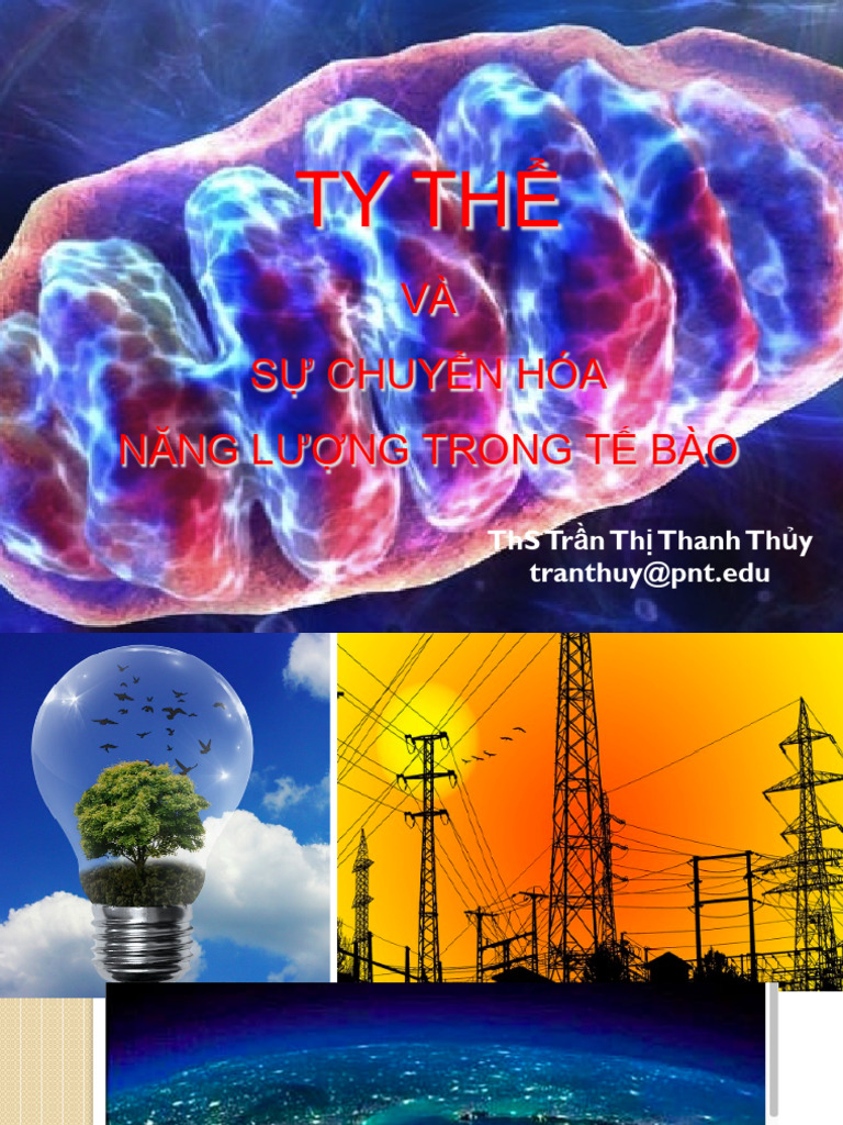 1. TY THỂ PDF | PDF