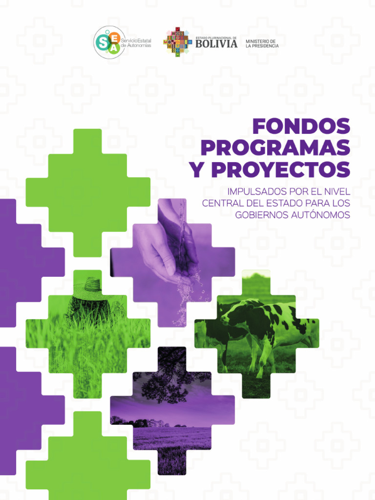Fondos Programas y Proyectos Impulsados Por El NCE para Los Gobiernos ...
