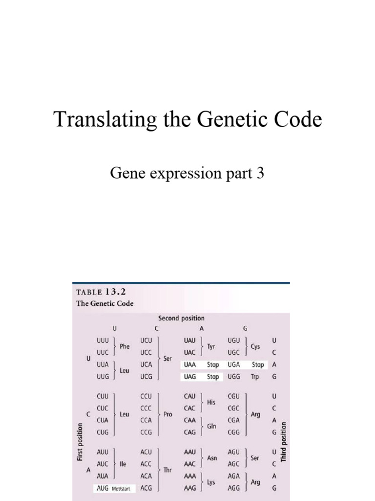 12c-Genetic Code | PDF | Genetic Code | Translation (Biology)