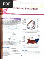 Anatomy Heart Cadaver | PDF | Heart Valve | Coronary Circulation