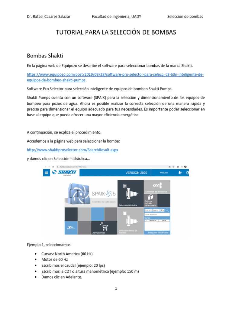 Tutorial para La Seleccion de Bombas | PDF | Informática
