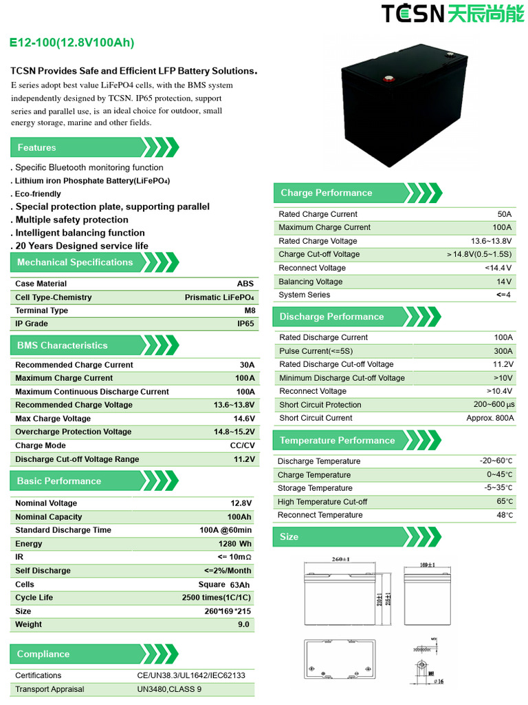 E12-100 (12.8V100Ah) : Features | PDF | Galvanic Cells | Energy Technology