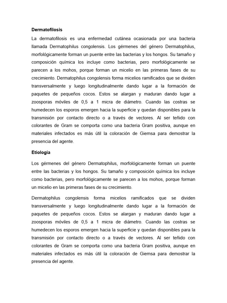 Dermatofilosis: Enfermedad cutánea en animales | PDF | Las bacterias ...
