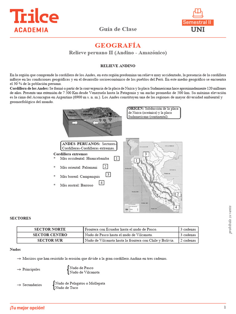 Relieve Andino y Amazónico del Perú | PDF | Andes | Ciencias de la Tierra