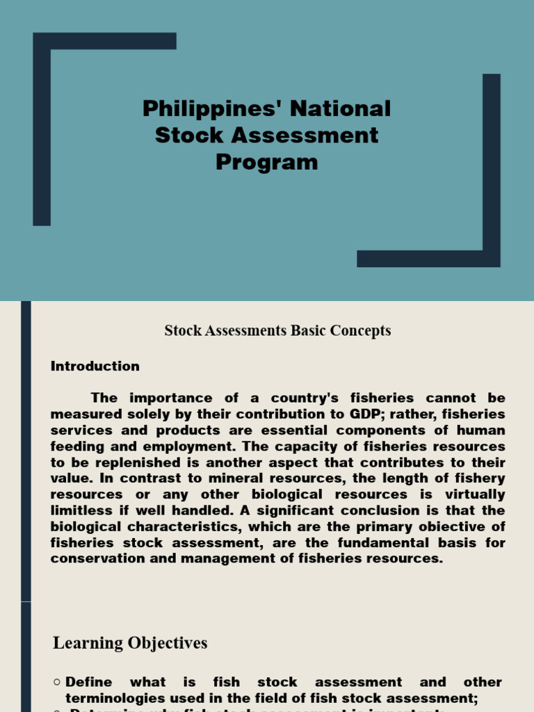 Fish Stock Assessment | PDF | Marine Biology | Natural Environment