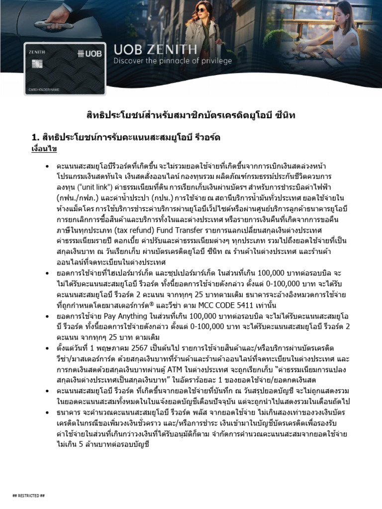 Privilege Book | PDF