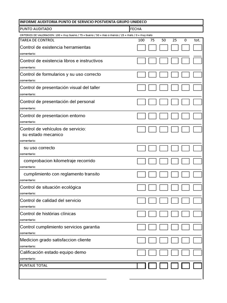 2010 Form Informe Auditoria Punto de Servicios | PDF