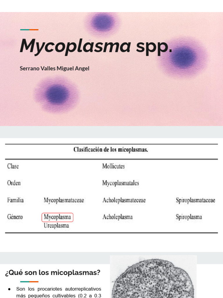 Mycoplasma SP | Descargar gratis PDF | Micoplasma | Infección