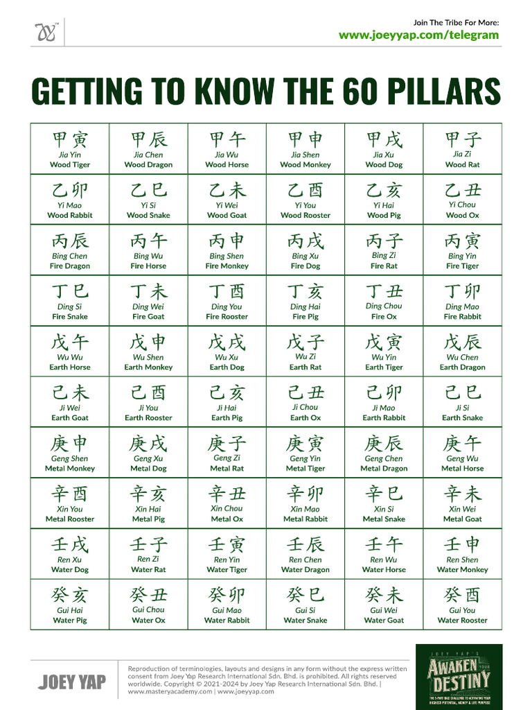 Understanding the 60 Pillars | PDF