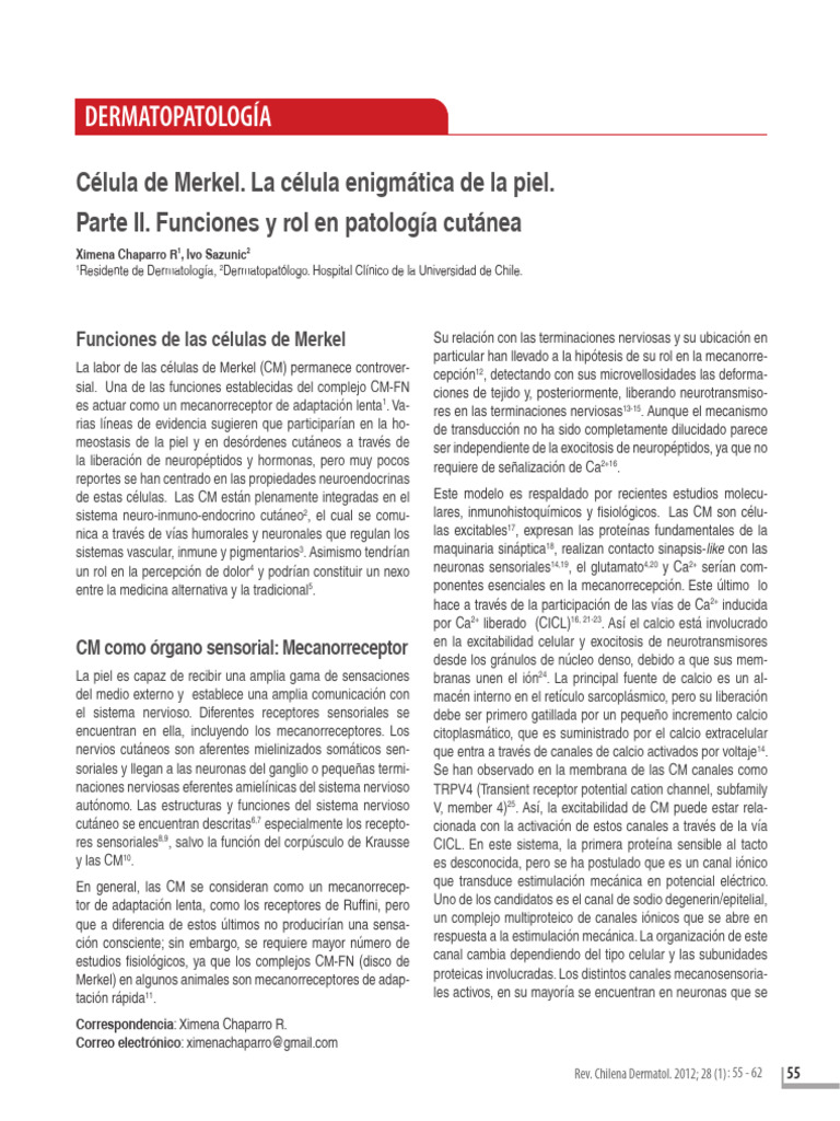 Funciones de las Células de Merkel | PDF | Transducción de señales | Biología Celular