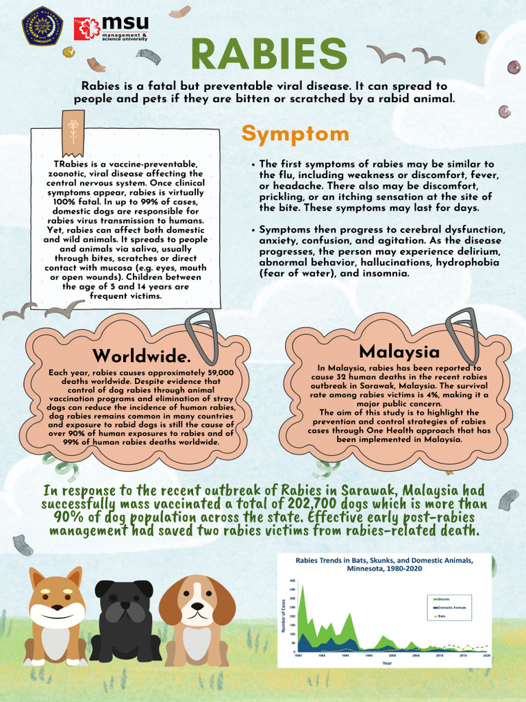 RABIES POSTER GMP Rosalinda Angelika Putri | PDF