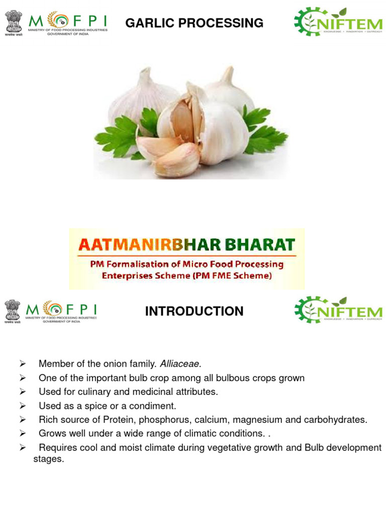 Garlic Processing | PDF | Garlic | Pickling