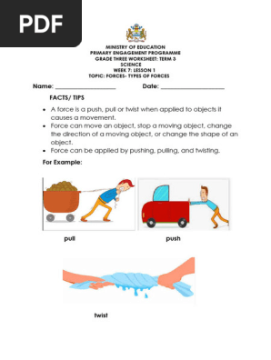Grade 3 Science Worksheets Structures