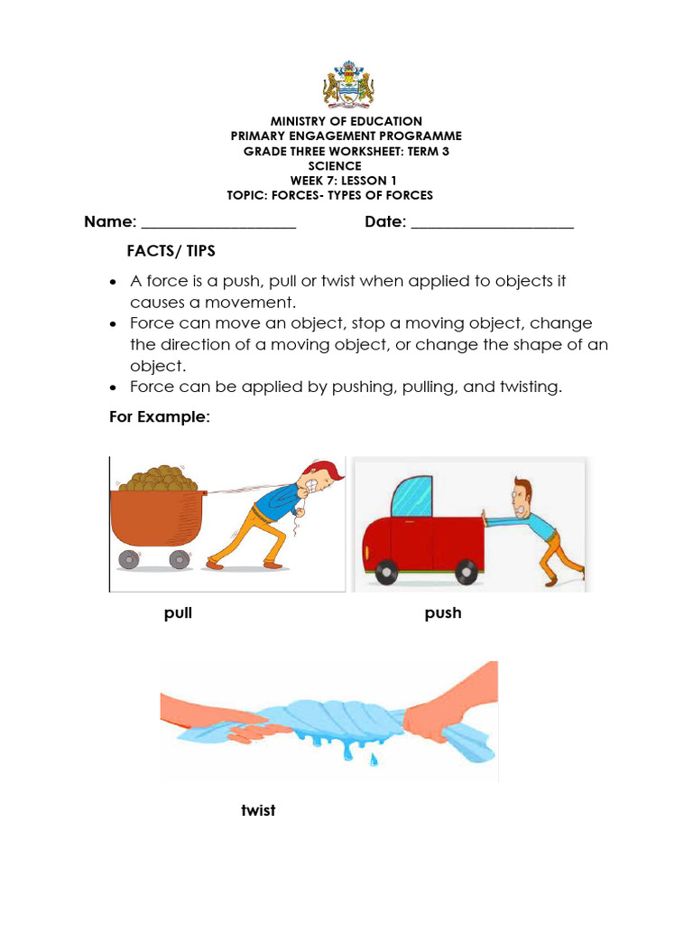 Grade 3 Third Term Science Worksheets Weeks 7-11 [Reviewed] 1 | PDF ...
