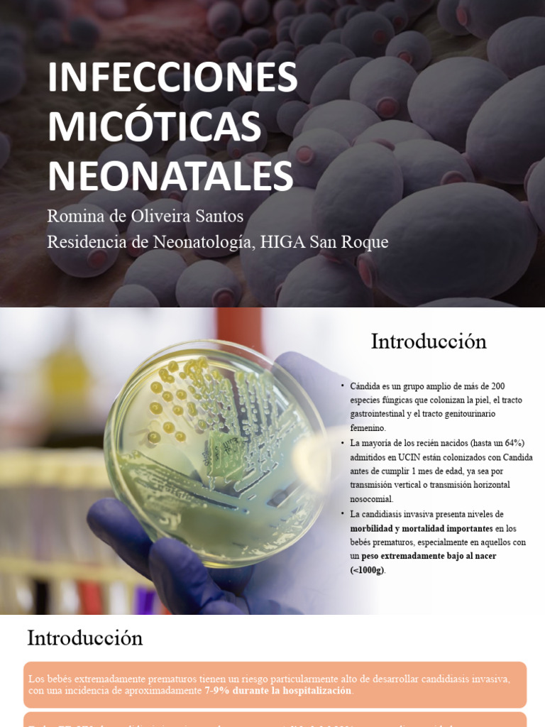 Candidiasis Invasiva Neonatal | PDF | Candidiasis | Pediatría