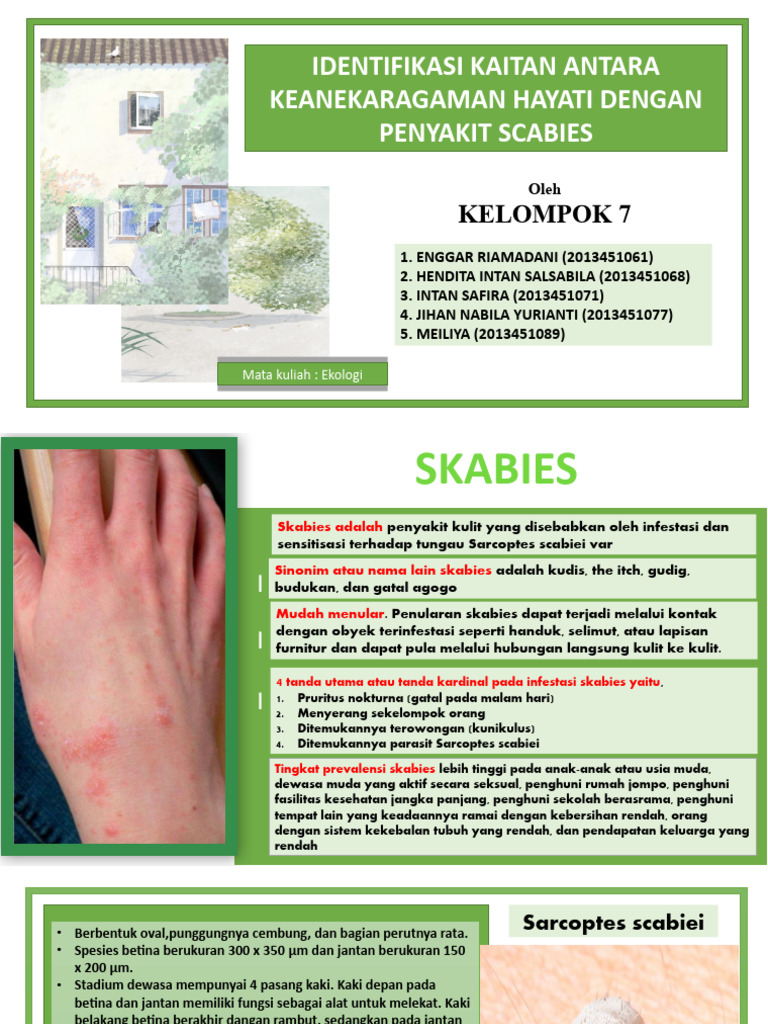 Ekologi Kel 7 Scabies | PDF | Griya & Taman | Sains & Matematika