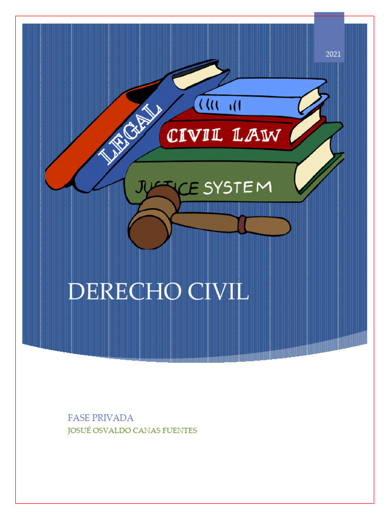 Conceptos Clave del Derecho Civil | PDF | Derecho Civil (Common Law) | Estado (política)