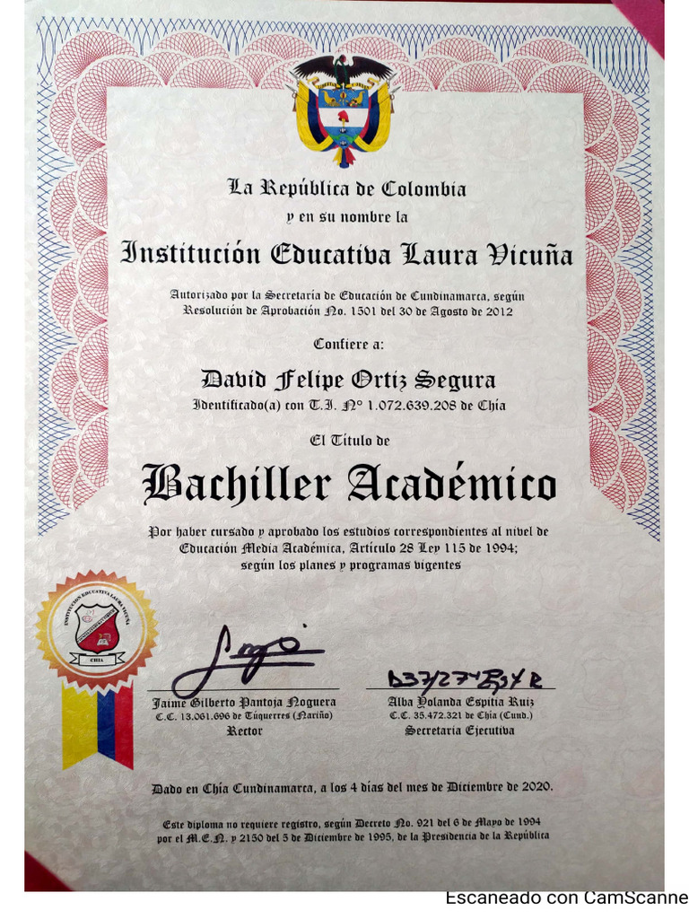 Diploma David Felipe Ortiz Segura | PDF