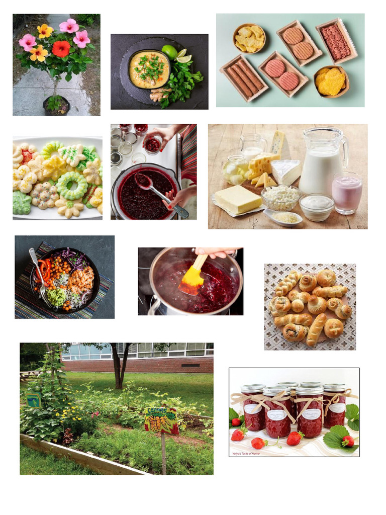 Foods | PDF