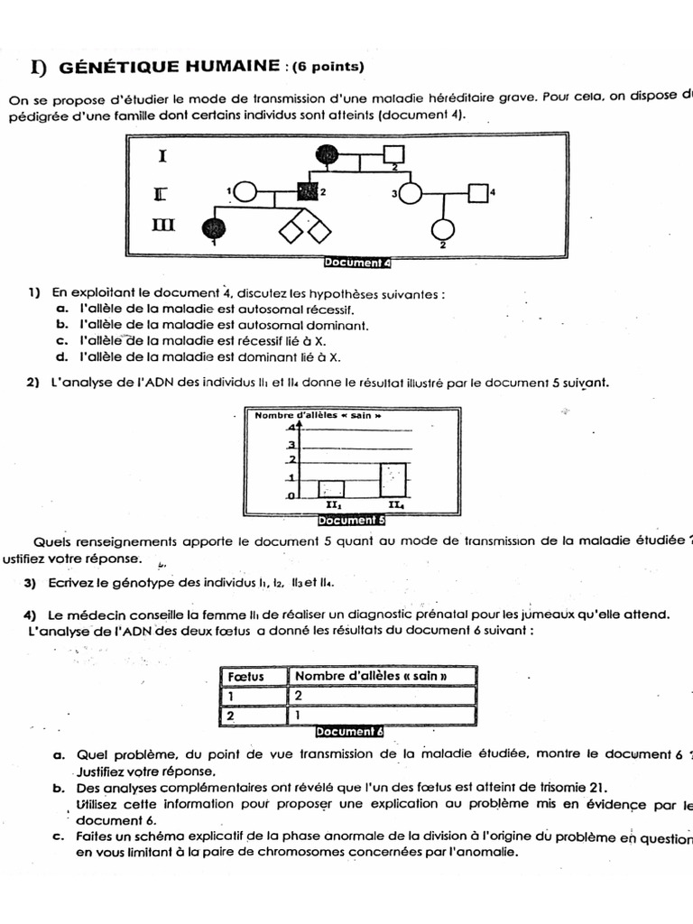 Exercices Genétiques SVT Bac Science Éxperimentale | PDF