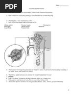 Excretory System: Class 10 Biology Guide | PDF | Kidney | Urinary System