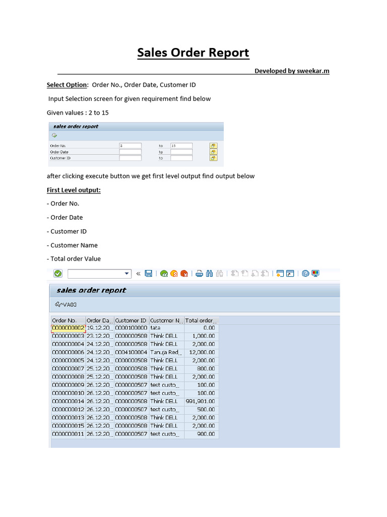 Sales Order Report Development Pdf Computer Programming Computing 