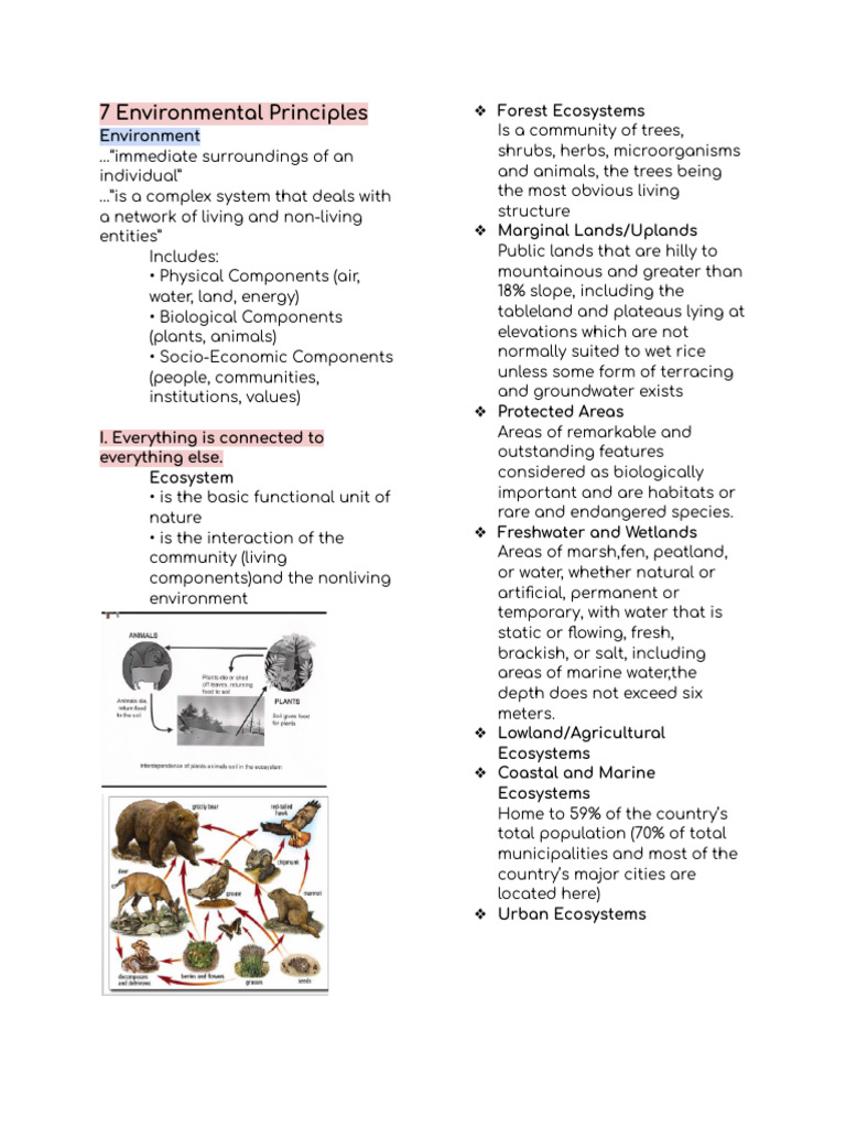 7 Key Environmental Principles Explained | PDF | Climate Change | Waste