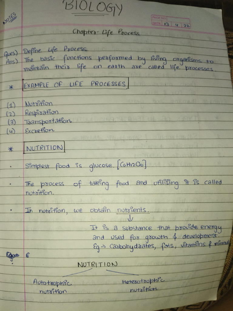 Life Process Notes | PDF