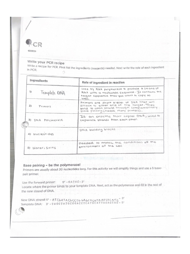Write Your PCR Recipe | PDF