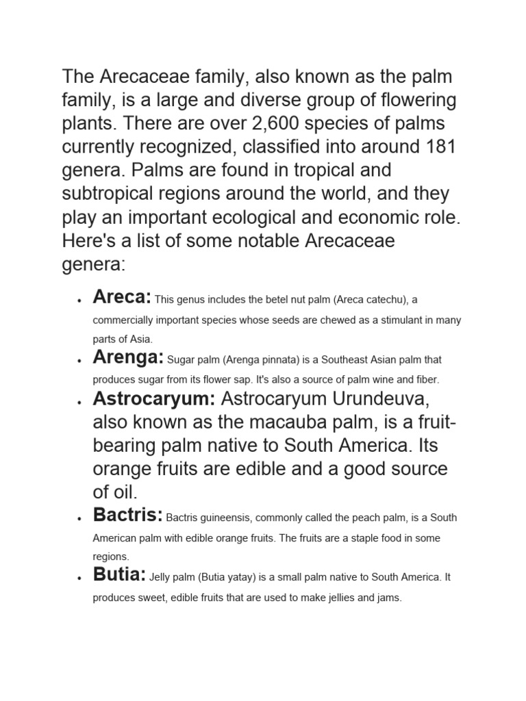 List of arecacease genera reviewer | PDF | Arecaceae | Coconut