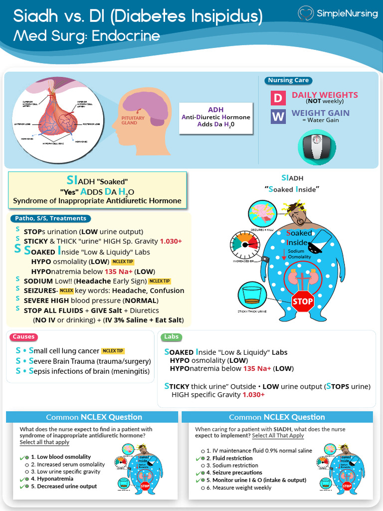 SIADH Vs DI SN Study Guide | PDF | Endocrine System | Endocrinology