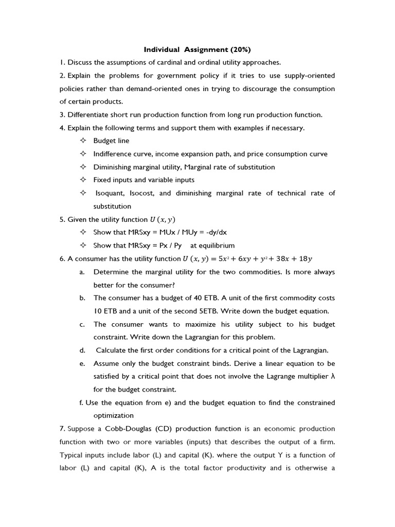 Individual Assignment | PDF | Utility | Production Function