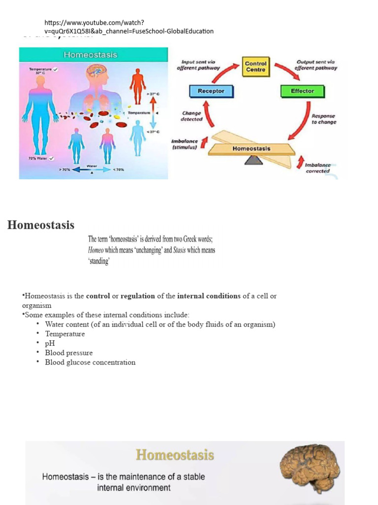 Excretion 2 (Homeostasis) | PDF | Homeostasis | Vasodilation