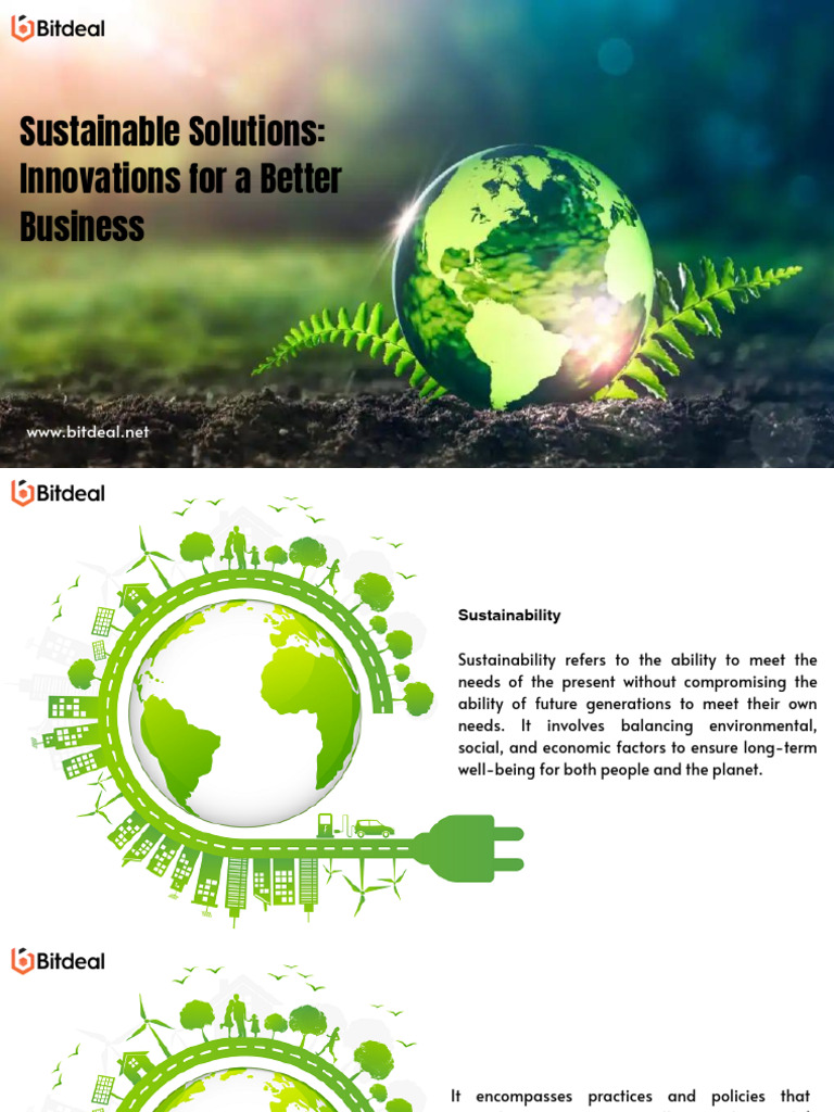 Sustainable Business Solutions Explained | PDF | Sustainability | Economies