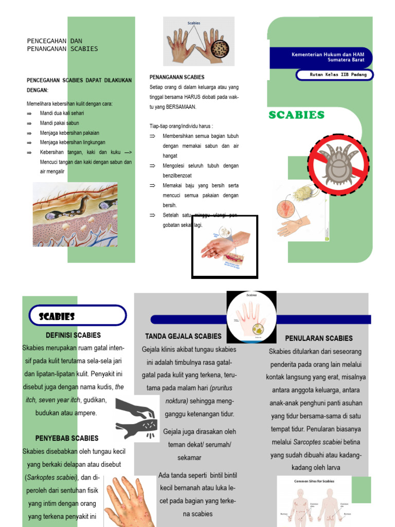 Panduan Pencegahan Scabies | PDF