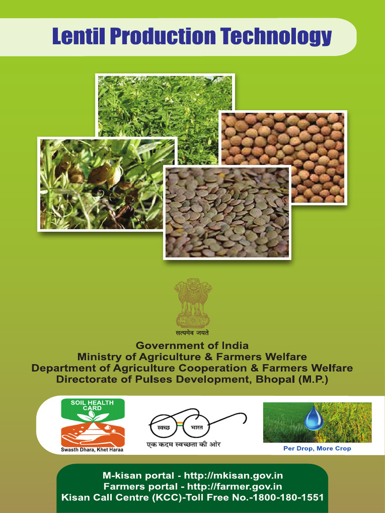 Lentil E | PDF
