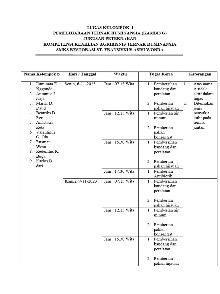 Create New Blank | PDF