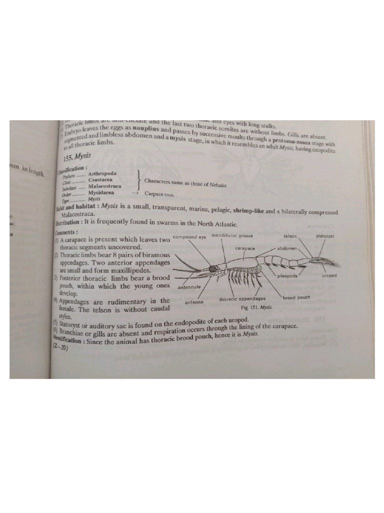 Permanent Slide | PDF