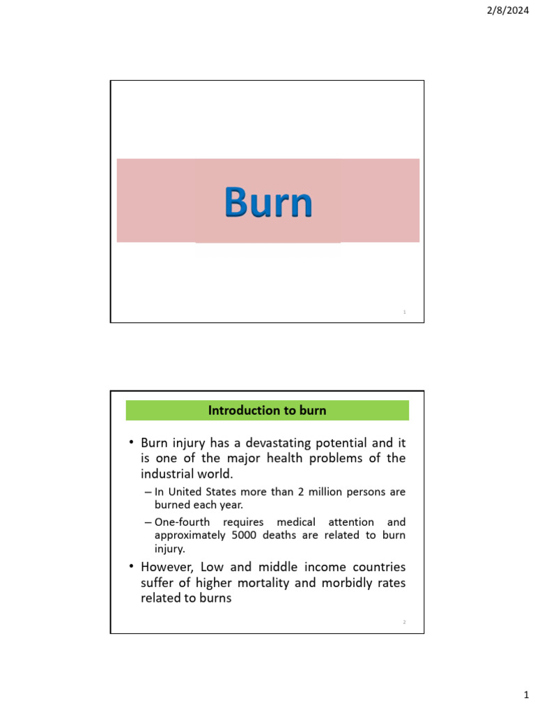 10.1 Burn | PDF | Burn | Medical Specialties