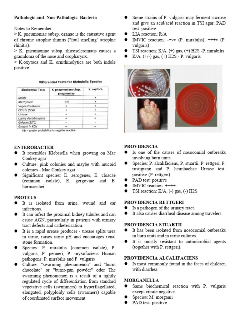 Pathologic and Non | PDF | Botulinum Toxin | Infection